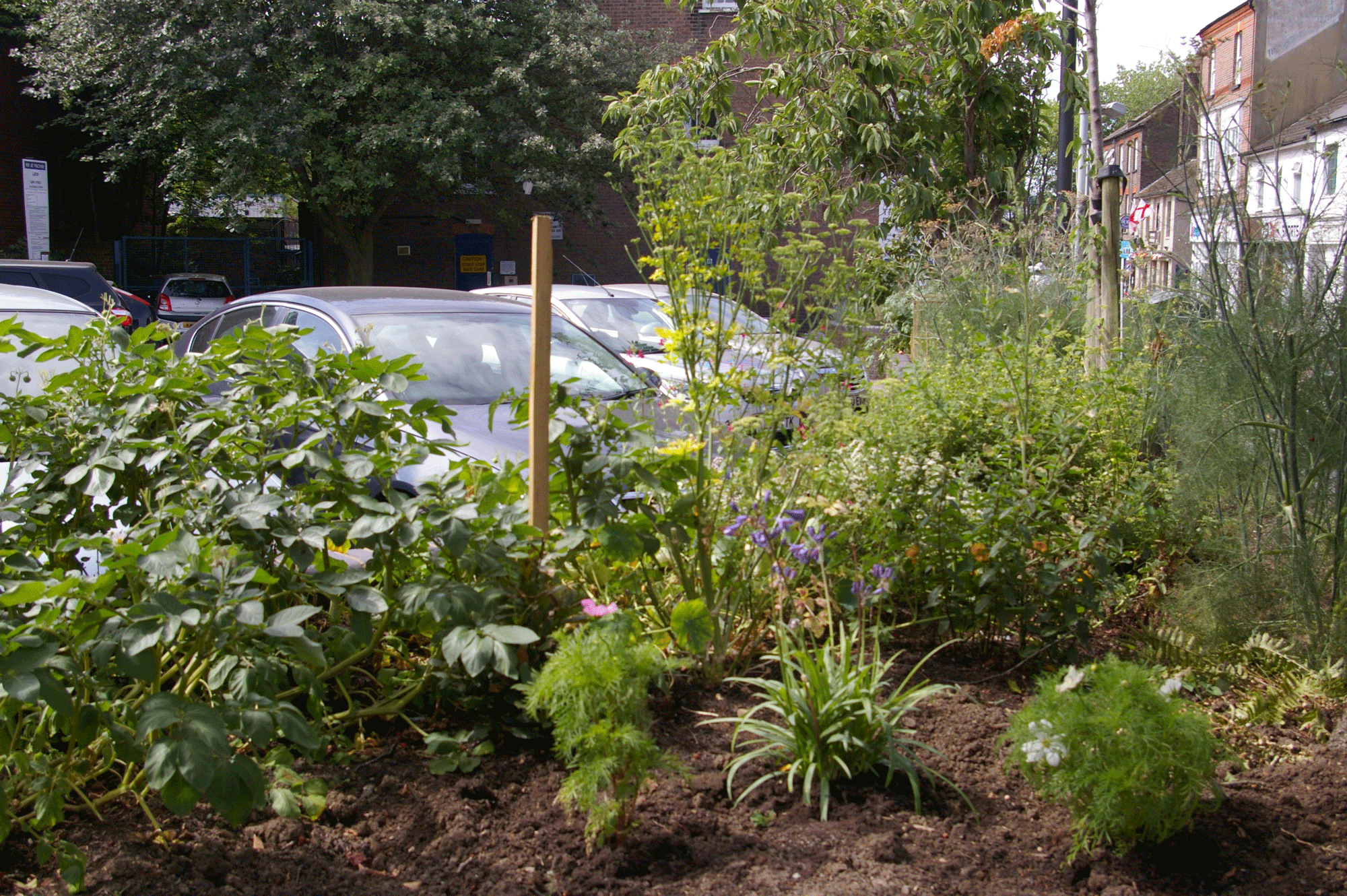 Edible Luton – Let's garden the town!